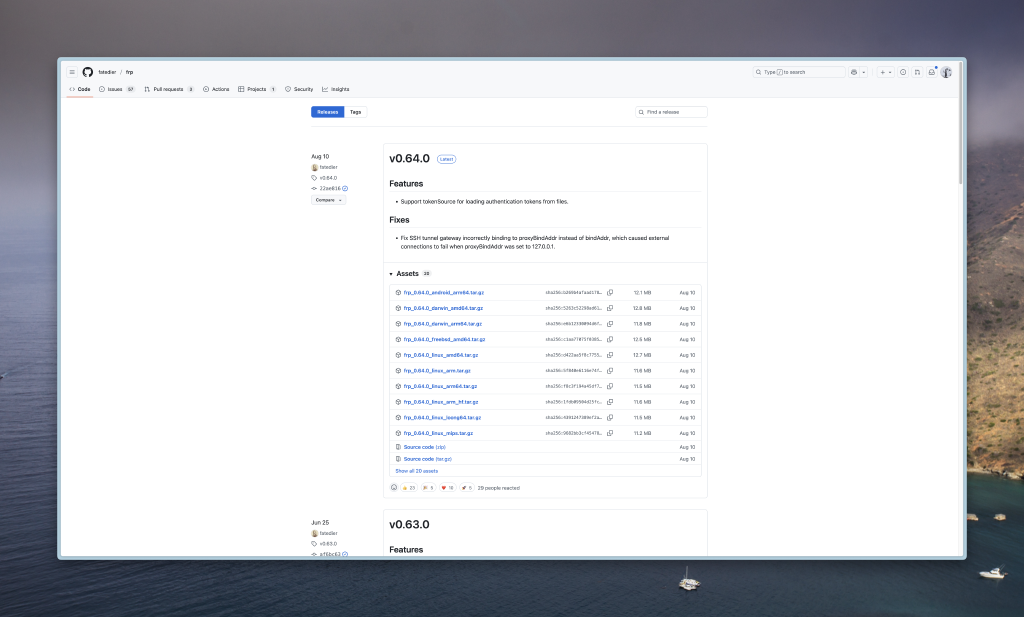 Frpc-Desktop 常见问题