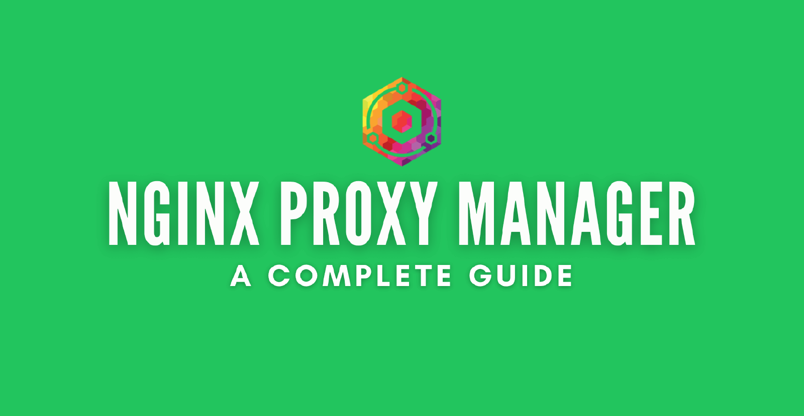 轻松管理反向代理：Nginx Proxy Manager 详解